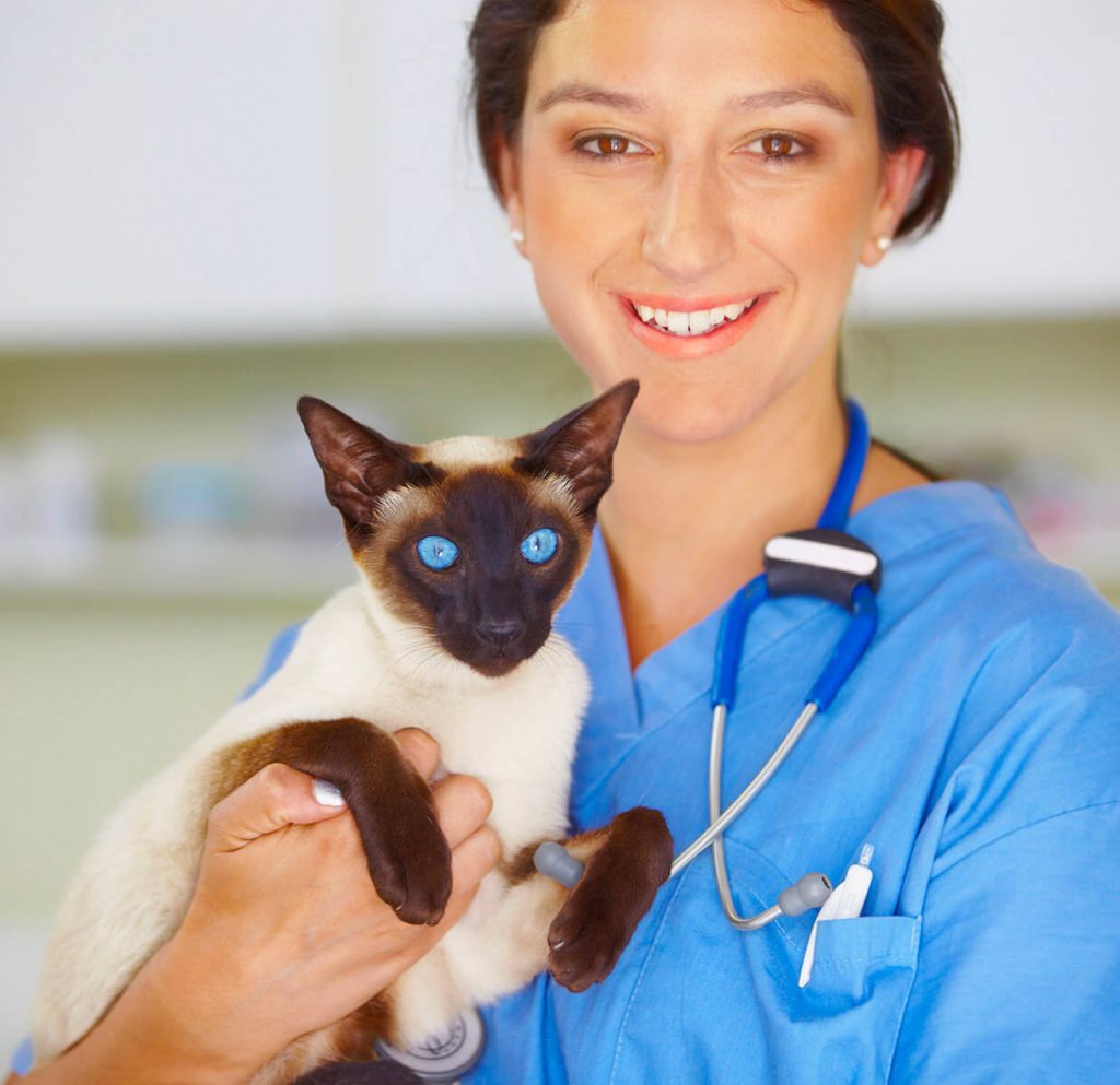 VETERINARIANS - MBNCARD, Inc.